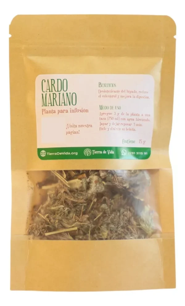 Cardo Mariano Planta Para Infusión