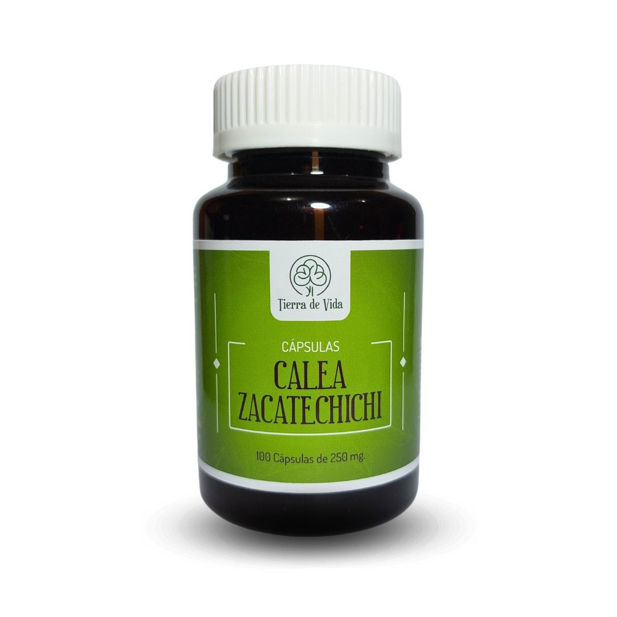 Calea Zacatechichi / Dream Herb 100 Cápsulas - Tierra de Vida